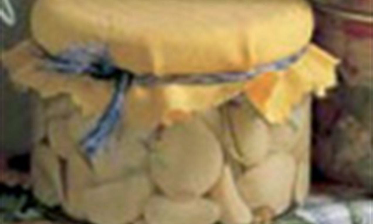 Konzervisani beli luk Recept | Dr. Oetker