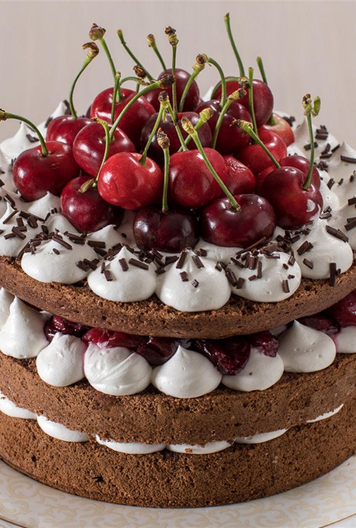 Ricette per torte decorate | Paneangeli